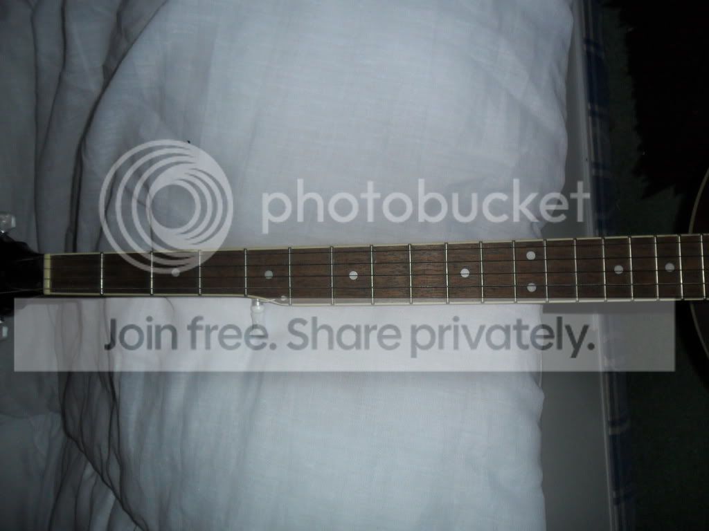 Ashbury 5-String Banjo | Reptile Forums