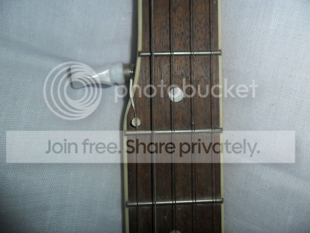 Ashbury 5-String Banjo | Reptile Forums