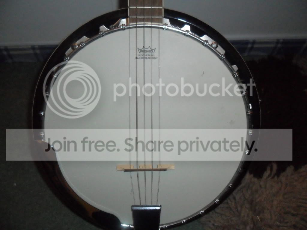 Ashbury 5-String Banjo | Reptile Forums