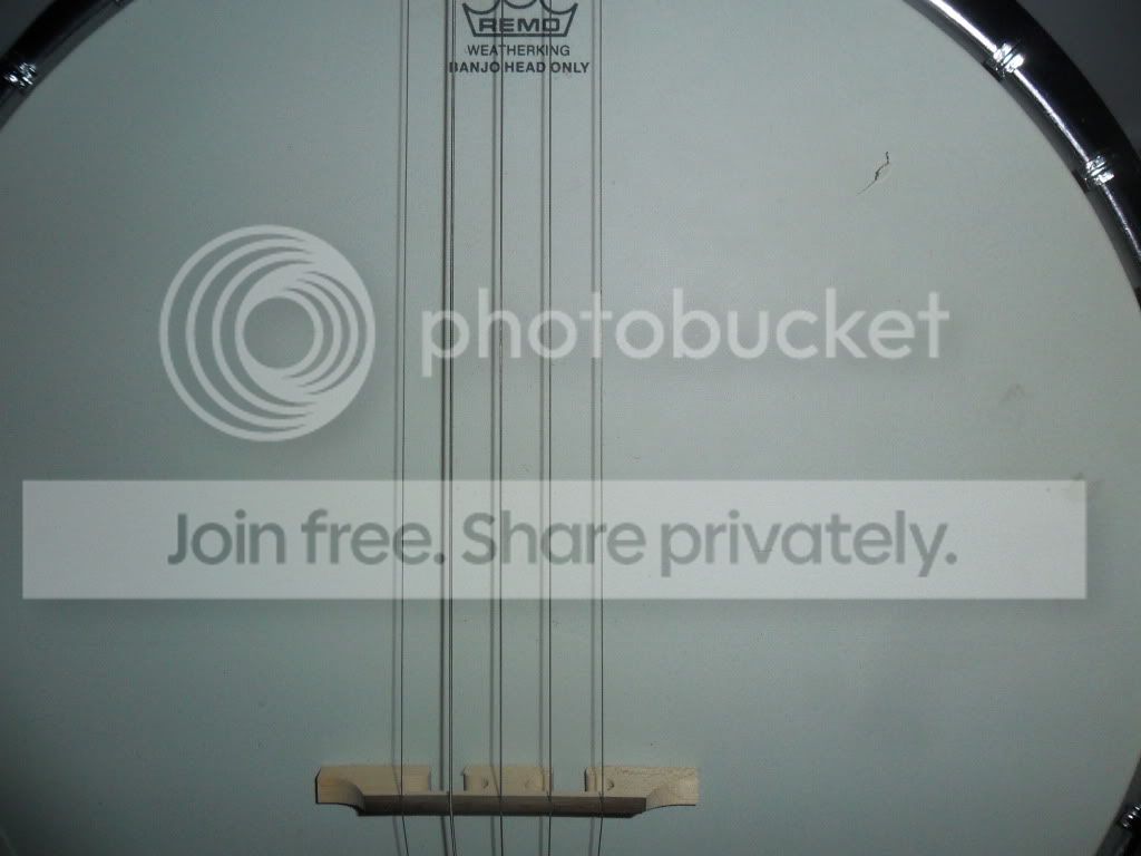 Ashbury 5-String Banjo | Reptile Forums
